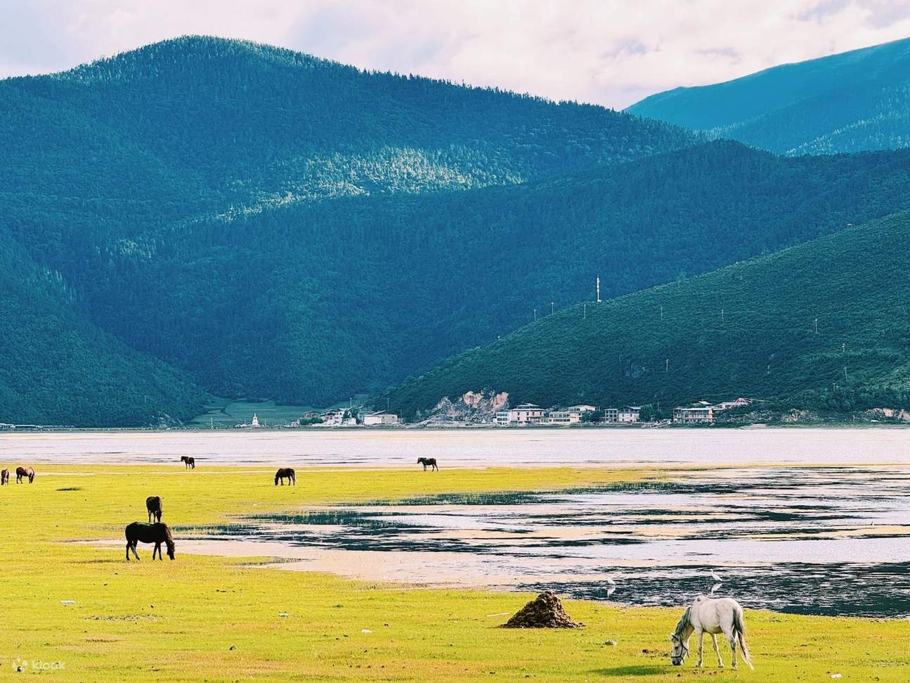 5-day tour to Niding Forest in Shangri-La, Yunnan (Songzanlin Temple ...